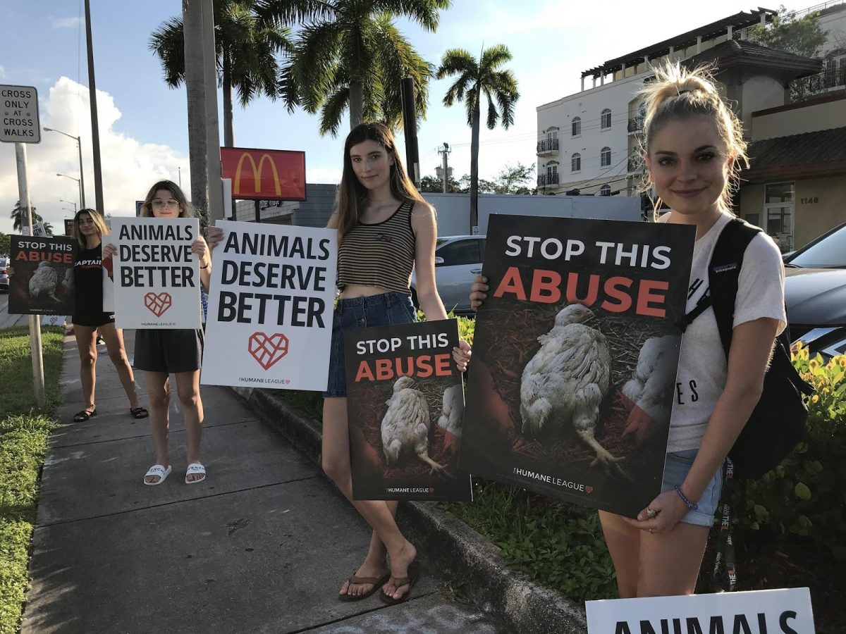 ‘I’m Not Lovin It’: Students protest to end animal abuse at McDonald’s ...