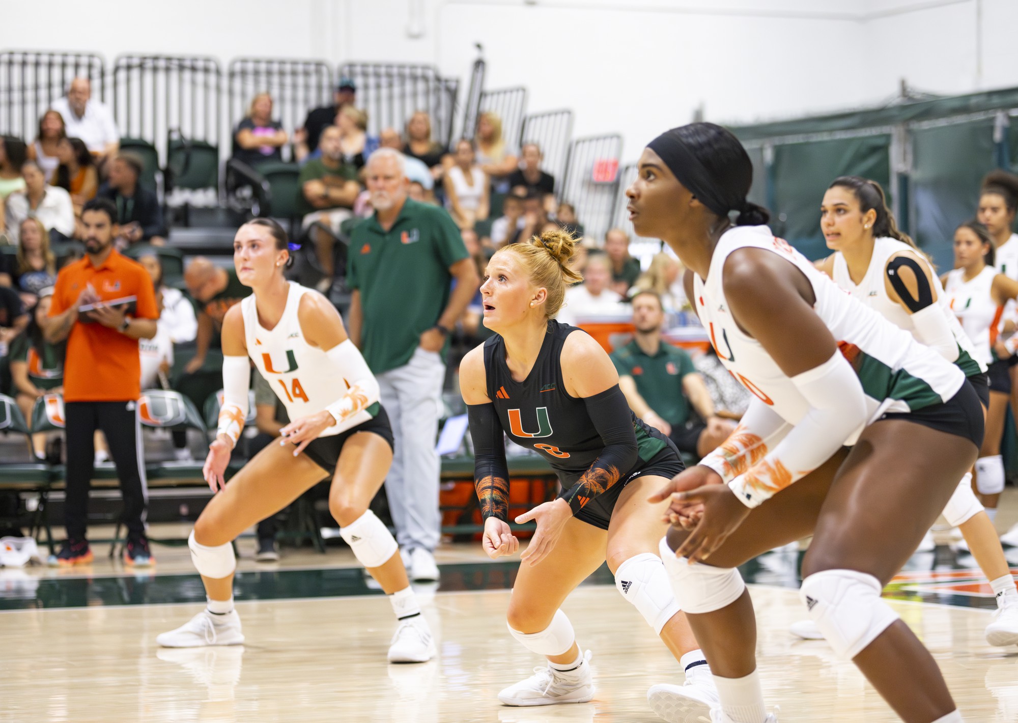 Miami volleyball falls to Wisconsin, downs Arizona - The Miami Hurricane
