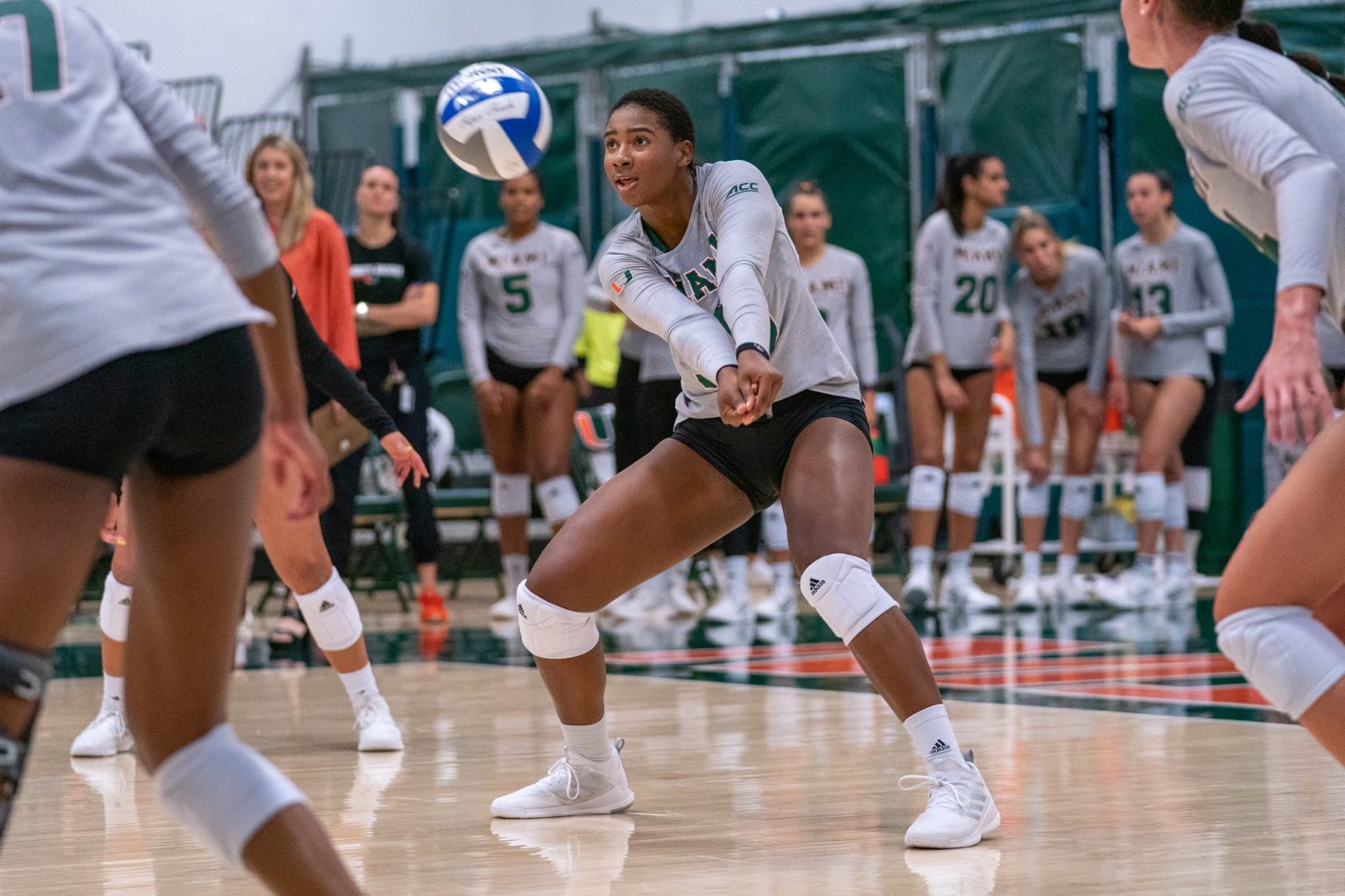 Gallery: ‘Canes volleyball falls short against Gamecocks - The Miami ...