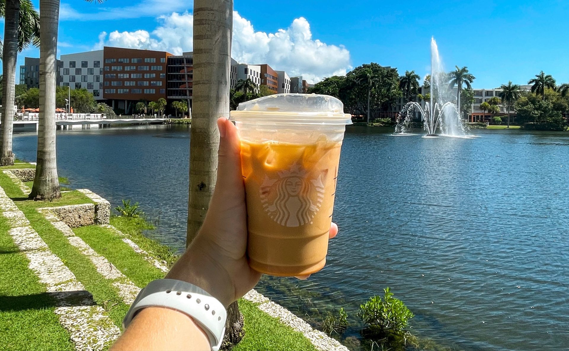 Ranking Starbucks’ fall menu items - The Miami Hurricane
