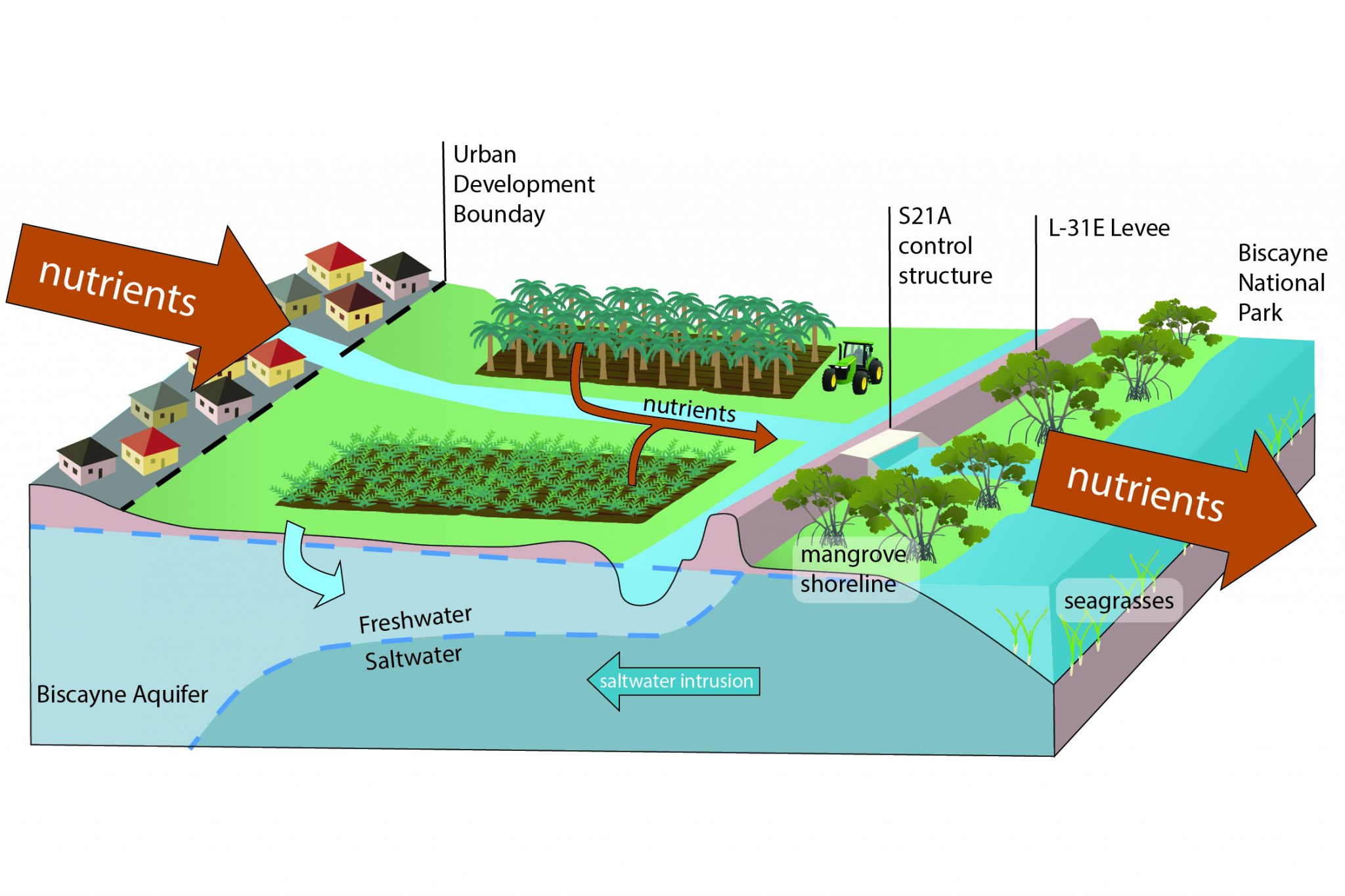 Mayor vetoes Urban Development Boundary expansion, halting development ...