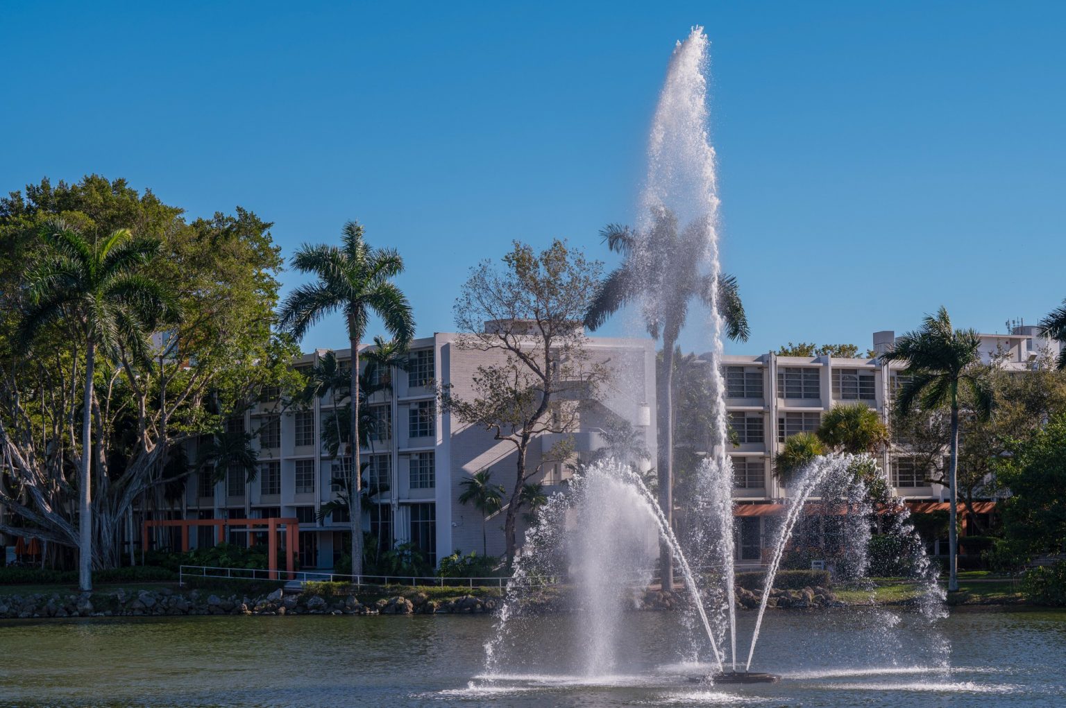 Website crash clouds HRL’s attempt to stabilize housing crisis - The ...