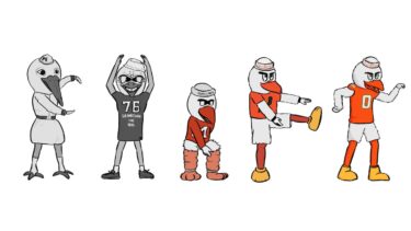 From ‘Icky’ to iconic: The evolution of Sebastian the Ibis - The Miami ...