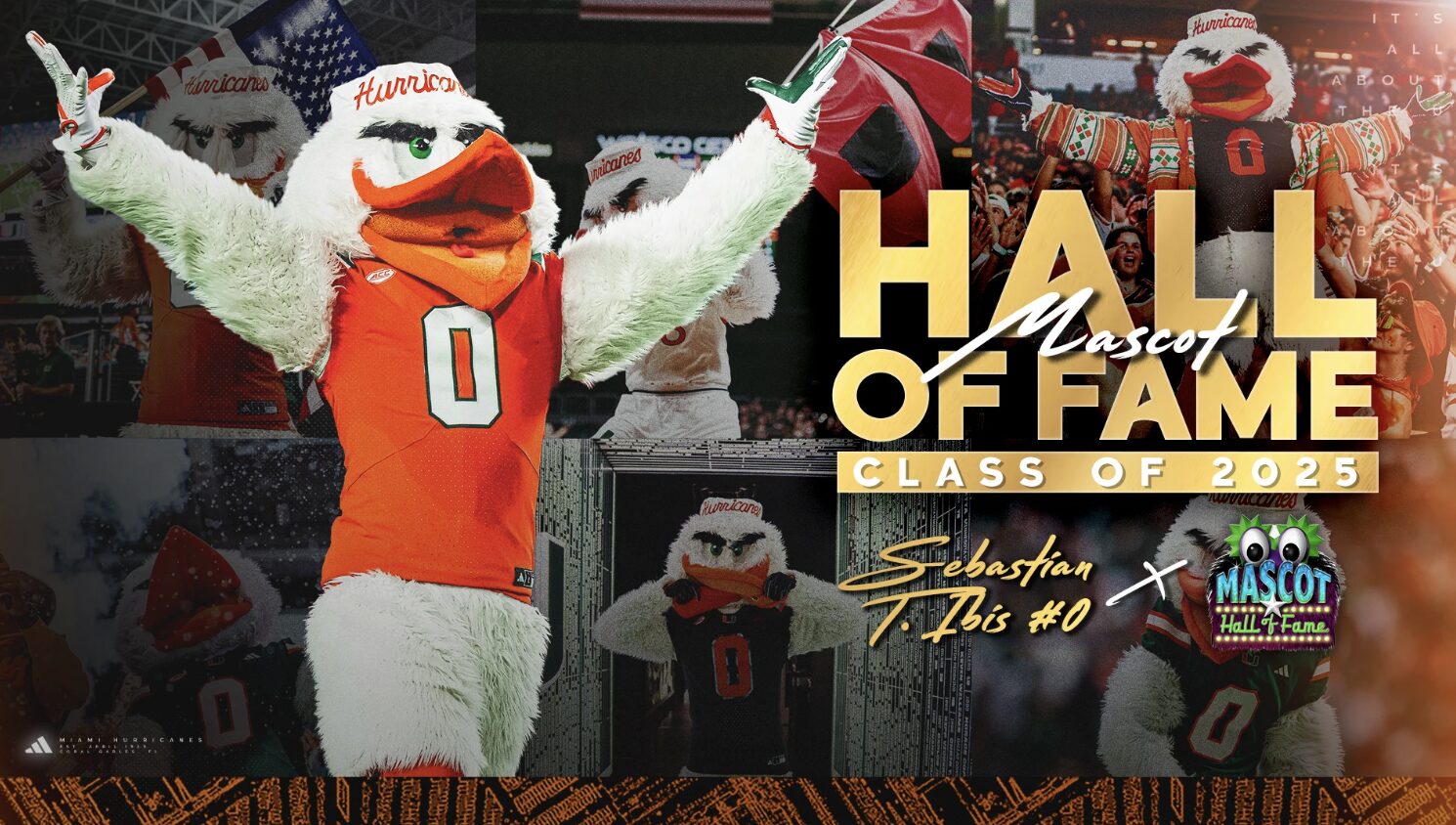 Sebastian the Ibis among 5 honored in Mascot Hall of Fame in 2025 - The ...